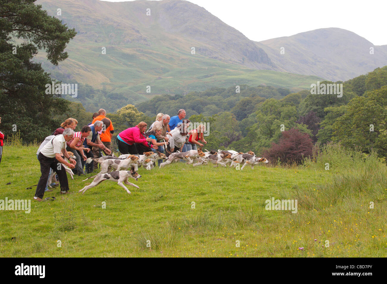 Releasing dog hi-res stock photography and images - Alamy