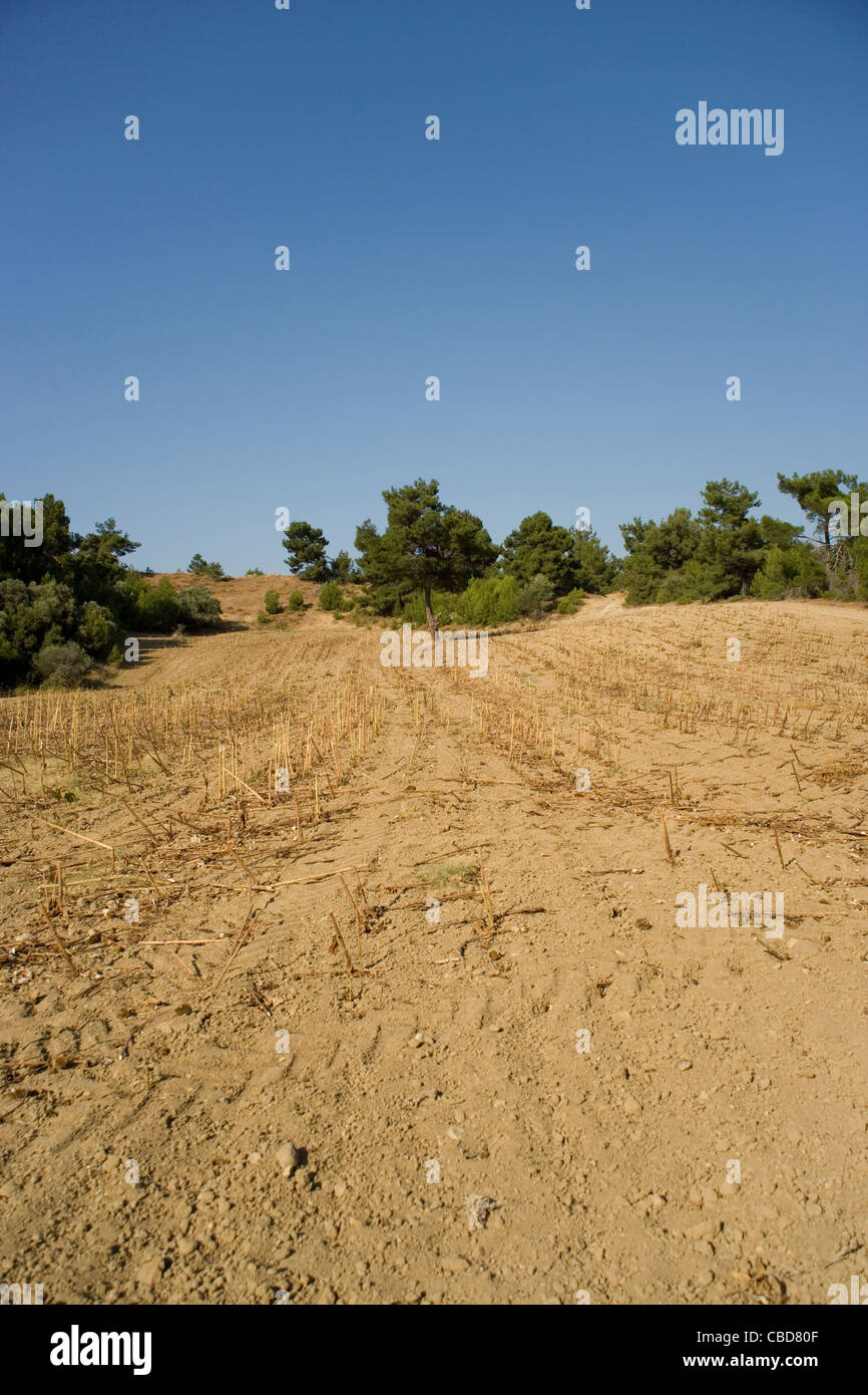Geoghegan's Bluff above Gully Ravine scene of fighting in the 1915 ...