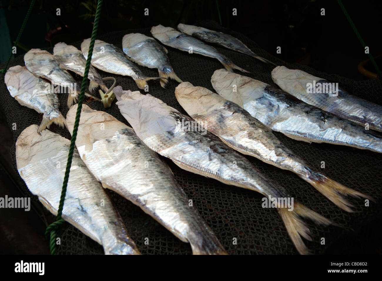 Air Drying Fish, Tai O Traditional Tanka Fishing Village, Hong Kong ...