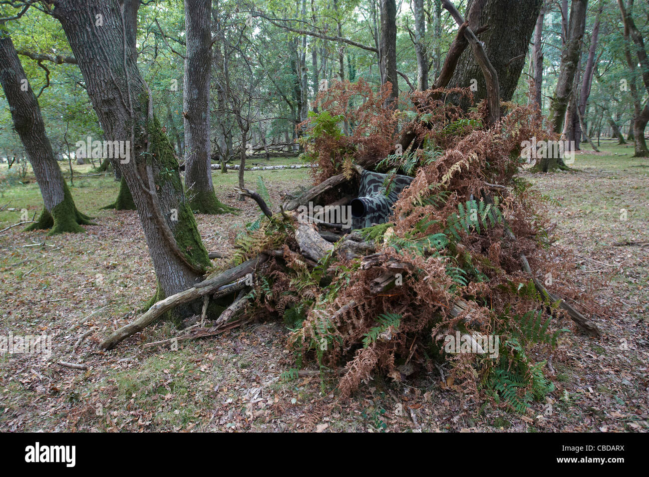 Hide in woodland hi-res stock photography and images - Alamy