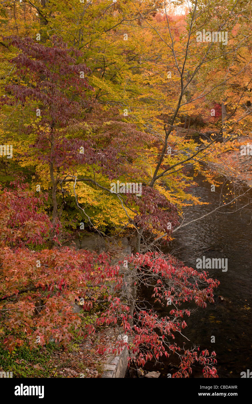 The Bronx river in fall (autumn) flowing through New York Botanic ...