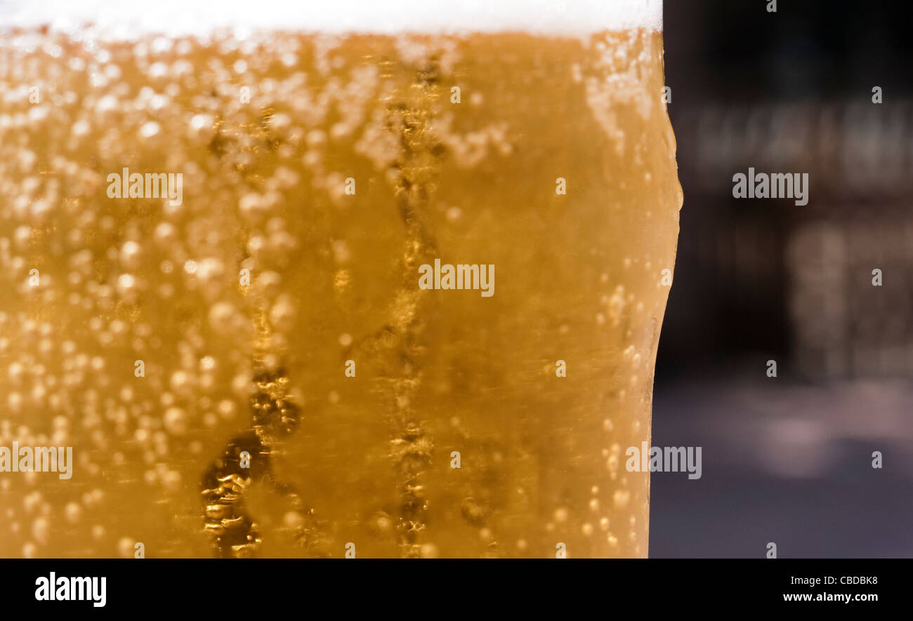 Detail of an ice cold glass of beer with condensation running down the ...