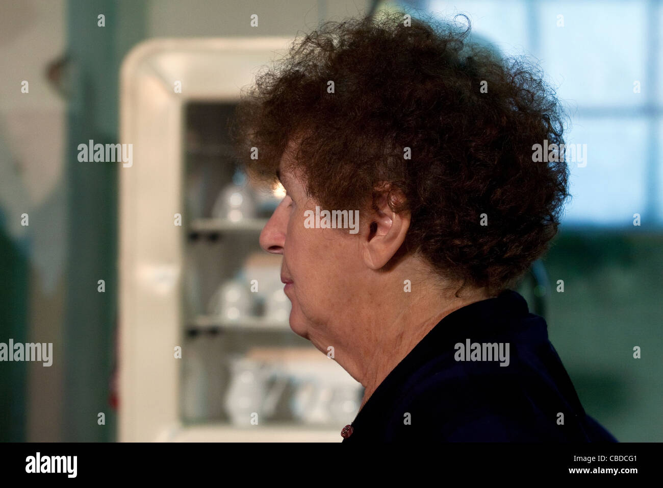 Pamela Howard, OBE FRSA is a practising scenographer, director, curator ...