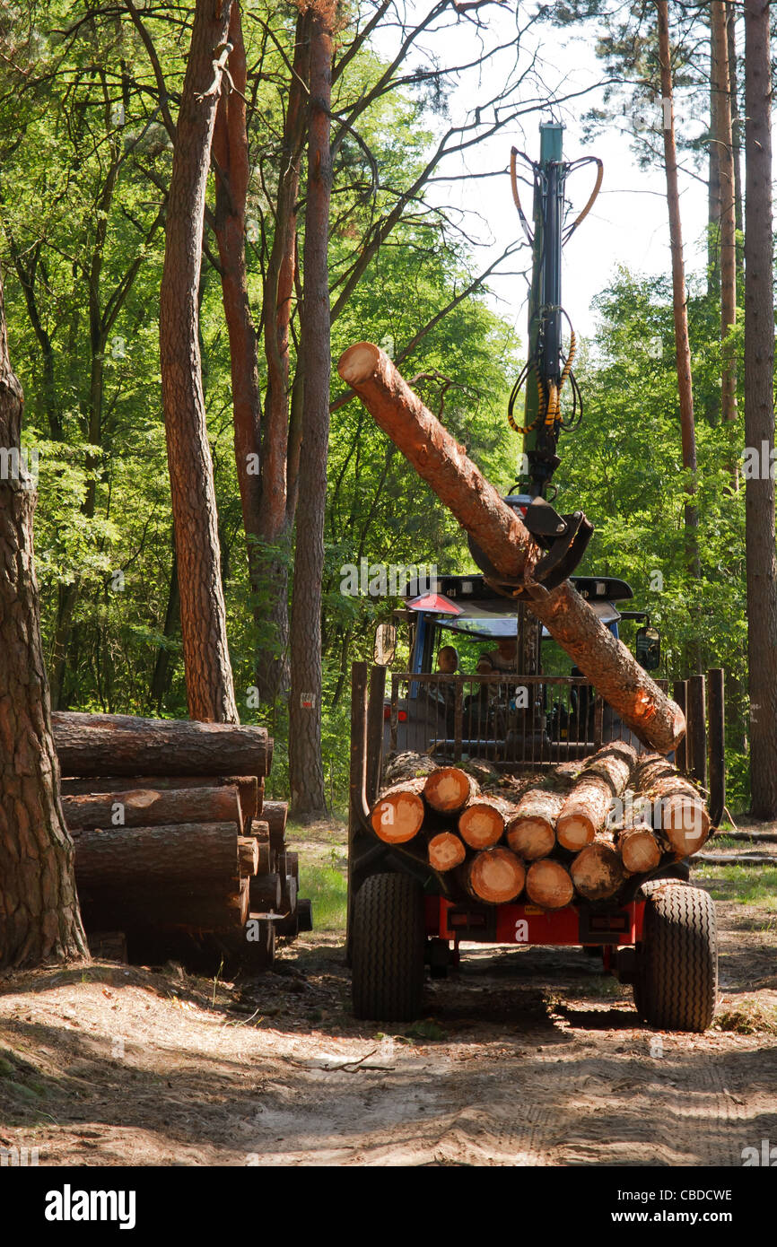 Timber tractor hi-res stock photography and images - Alamy