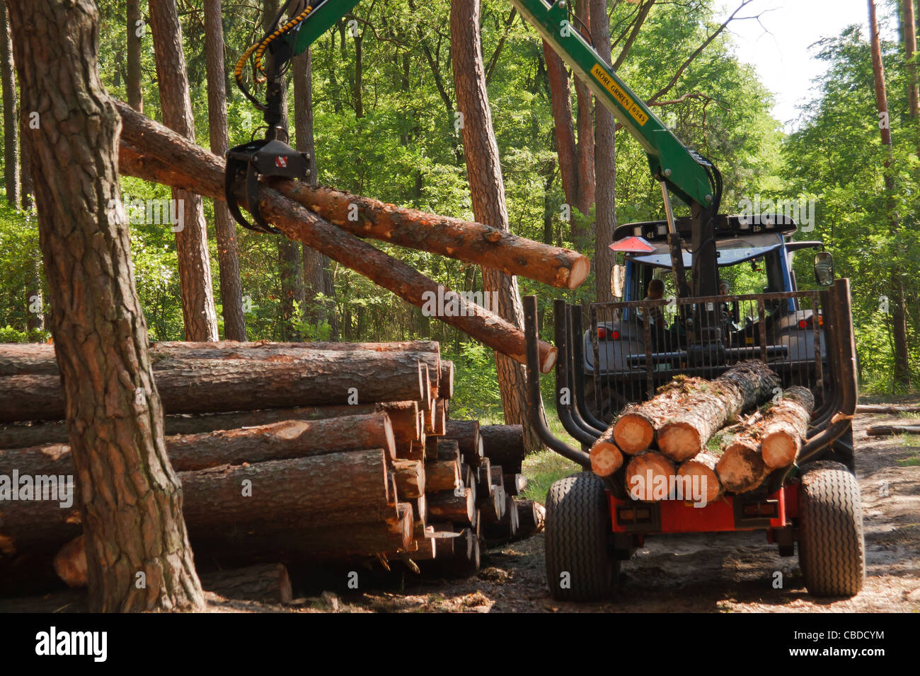 Tractor loading timber in the forest. Western Poland Stock Photo - Alamy