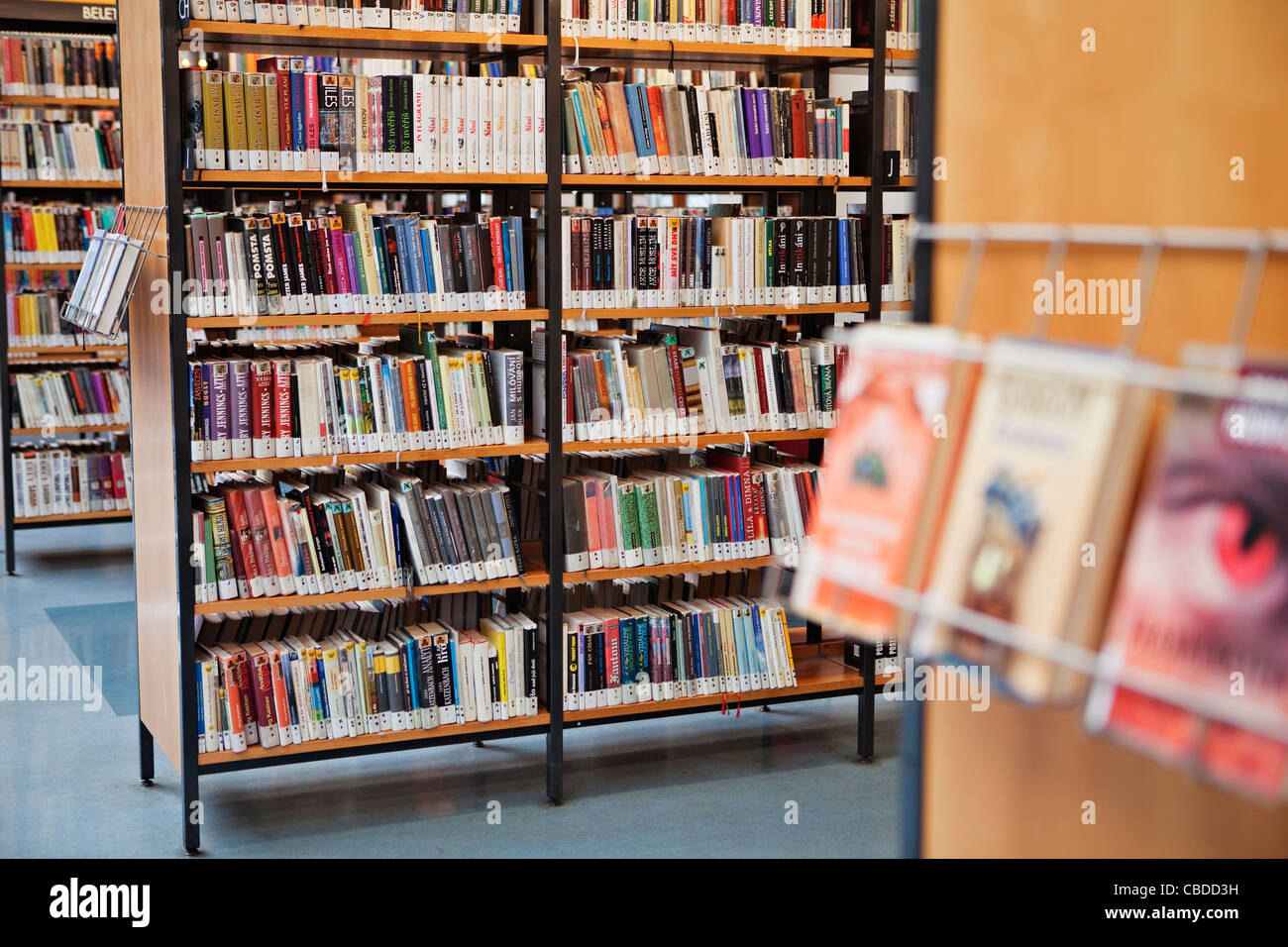 Municipal Library of Prague on Marianske Square in Prague. The first ...