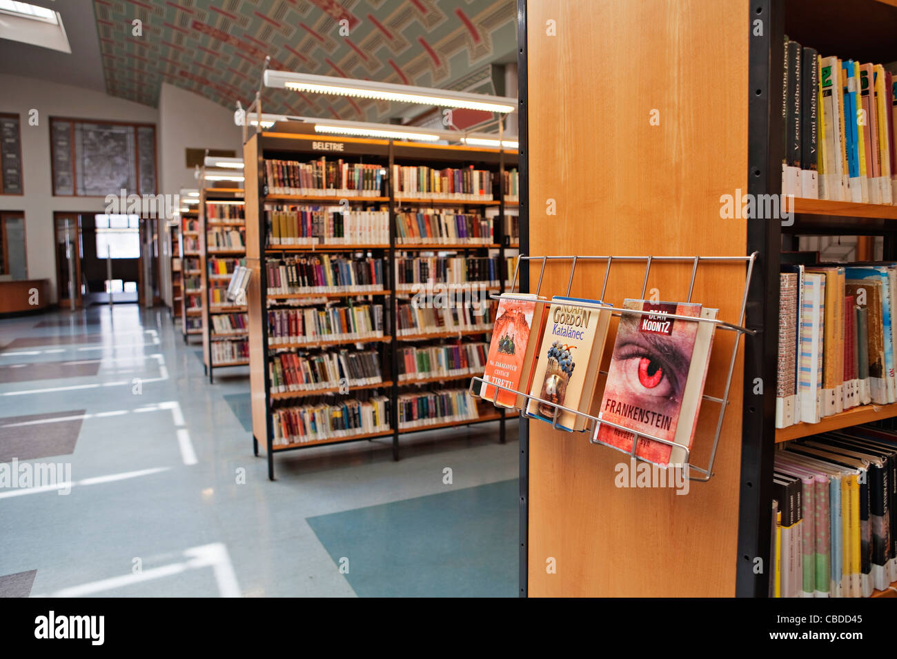 Municipal Library of Prague on Marianske Square in Prague. The first ...