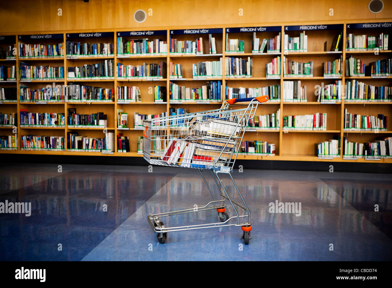 Municipal Library of Prague on Marianske Square in Prague. The first ...