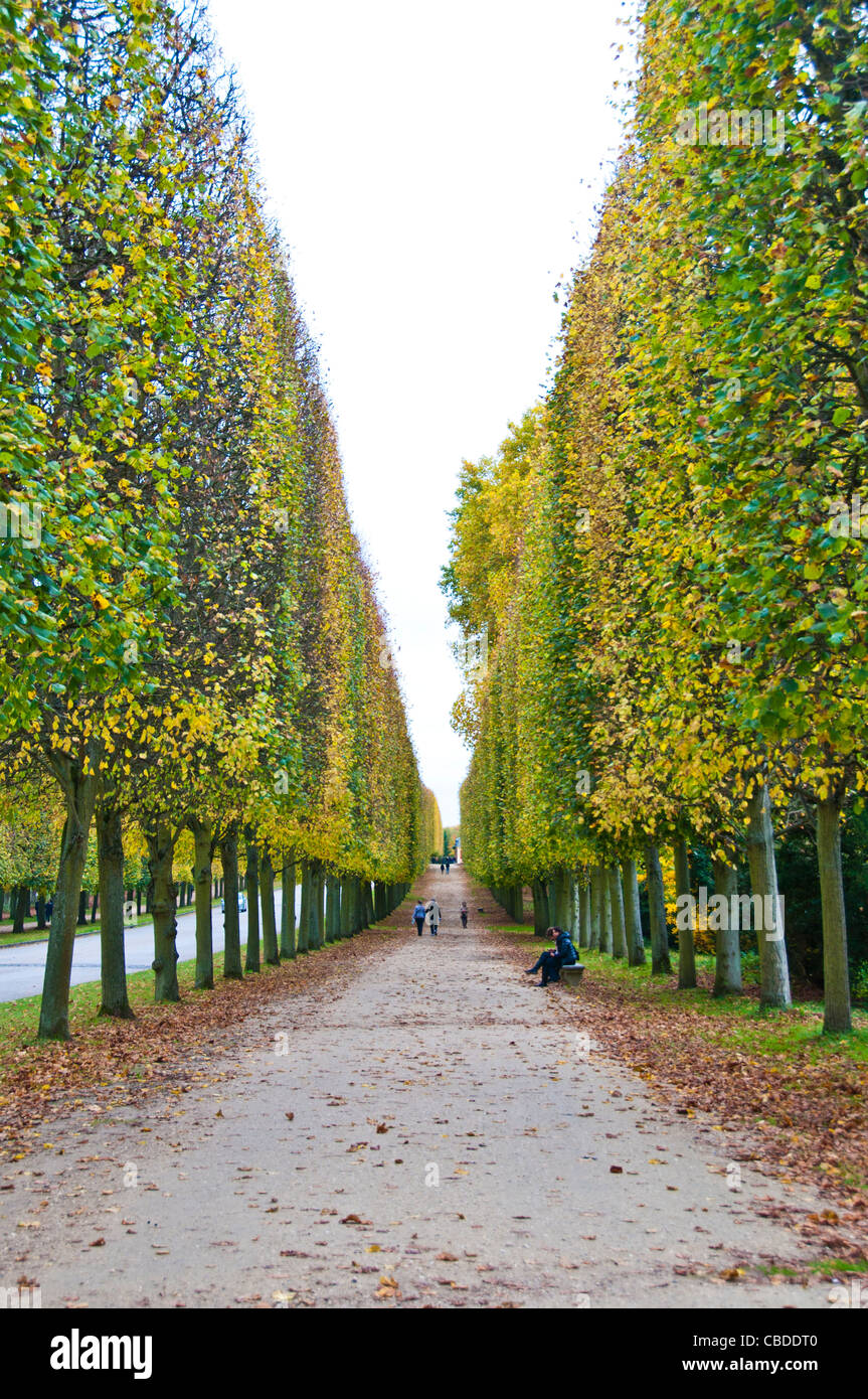 Path pathway hi-res stock photography and images - Alamy