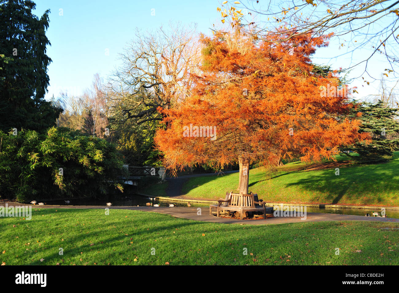 Victoria park bath uk hi-res stock photography and images - Alamy