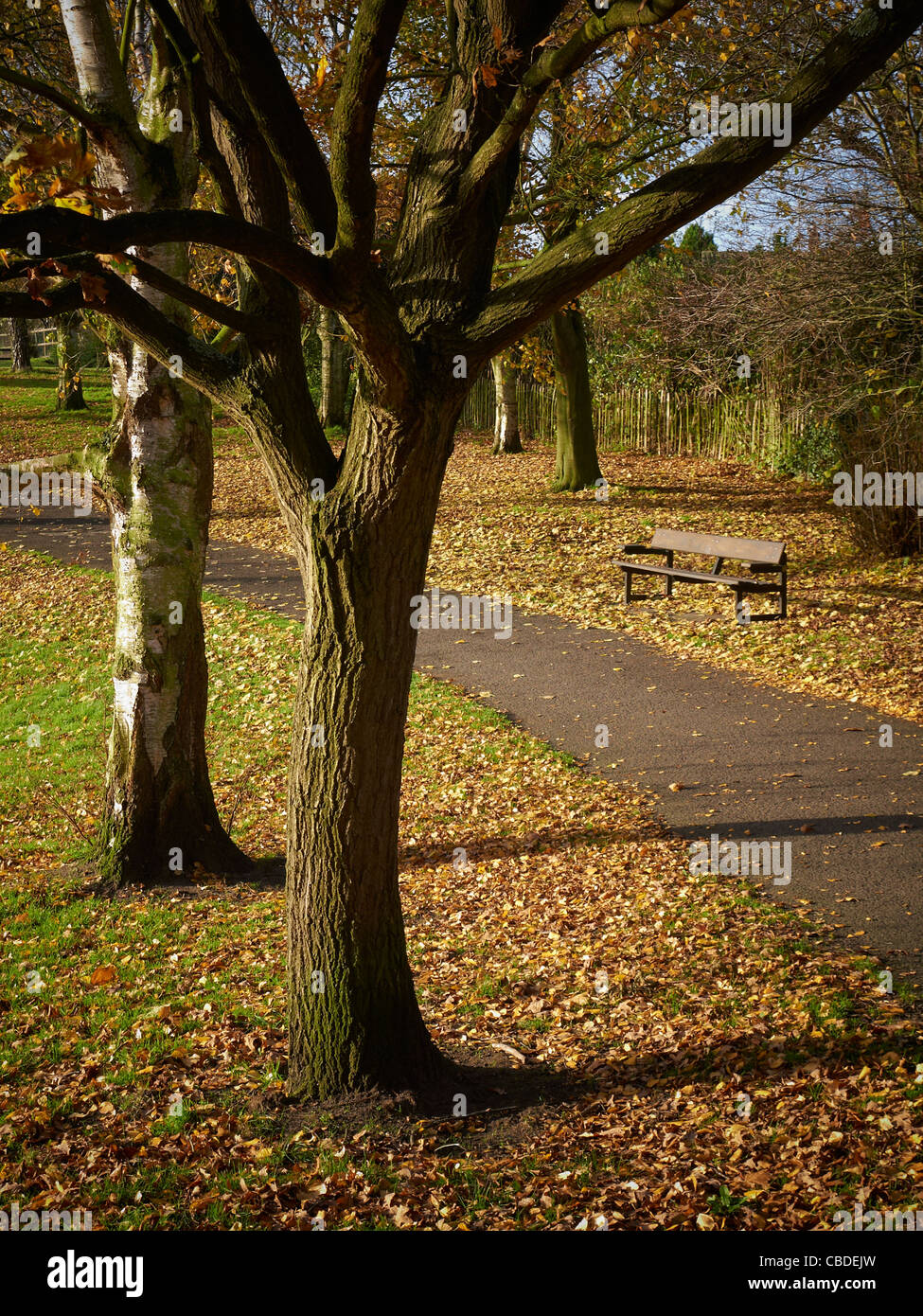 Autumn colors with empty bench in Sandbach park Cheshire UK Stock Photo ...