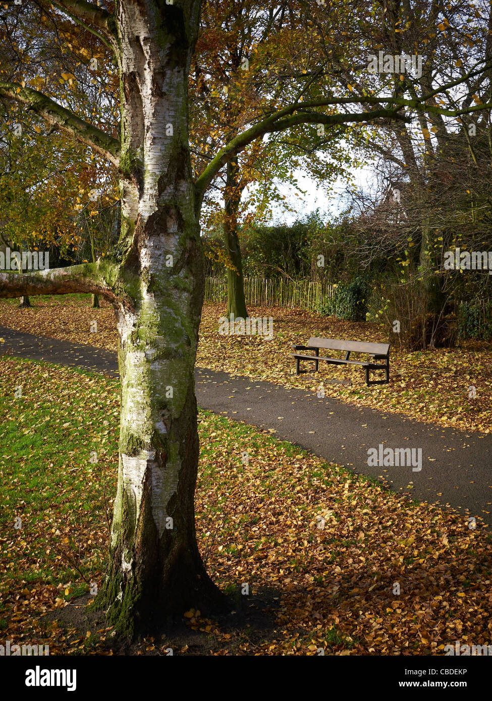 Autumn colors with empty bench in Sandbach park Cheshire UK Stock Photo ...
