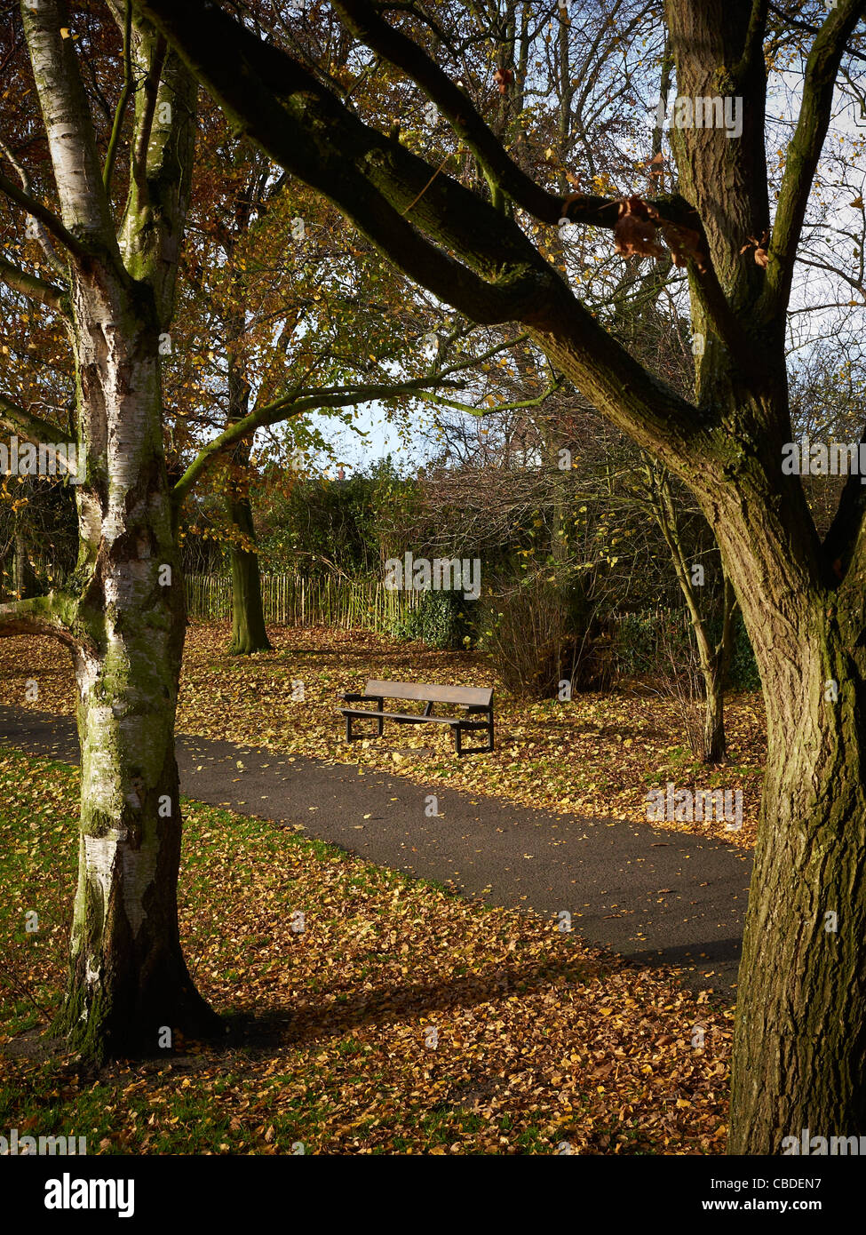 Autumn colors with empty bench in Sandbach park Cheshire UK Stock Photo ...