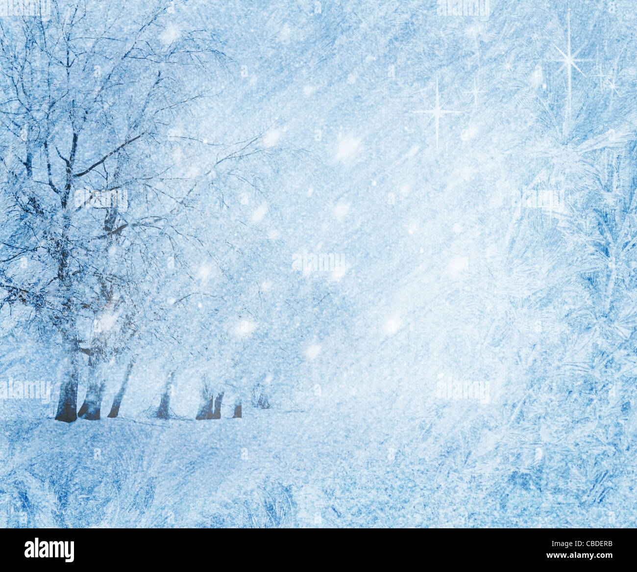 Blue Winter Background With Trees And Snow Stock Photo - Alamy