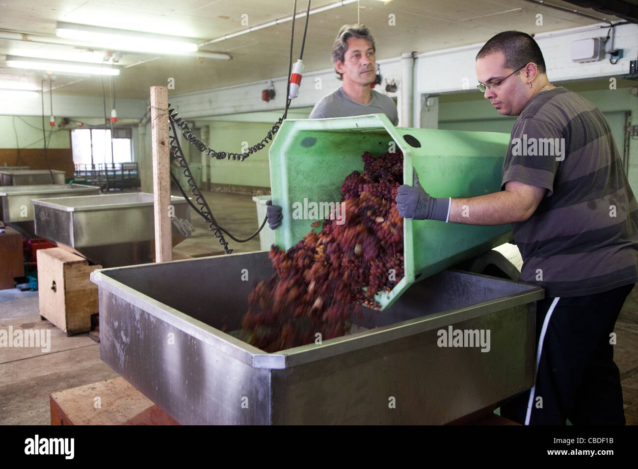 Wine hopper hi-res stock photography and images - Alamy