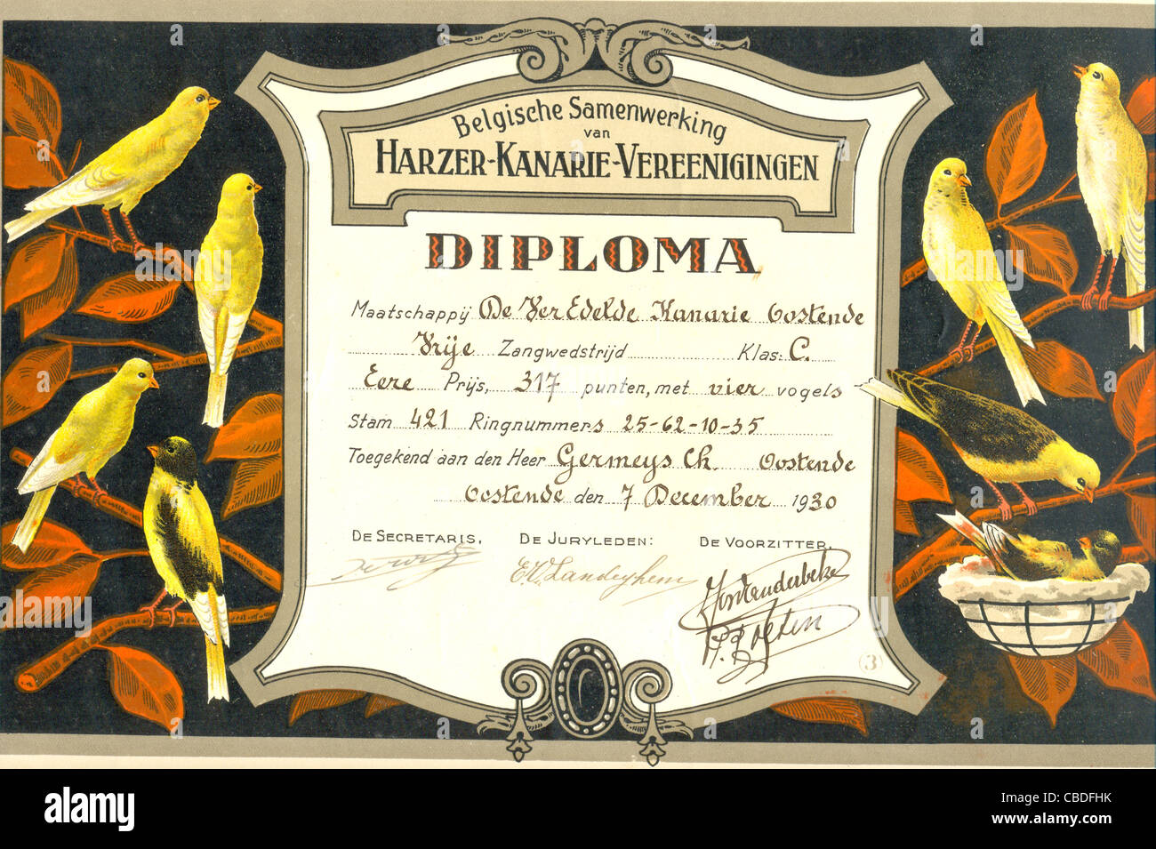 Diploma from the Hartz Canary show in Ostende, Belgium Stock Photo - Alamy