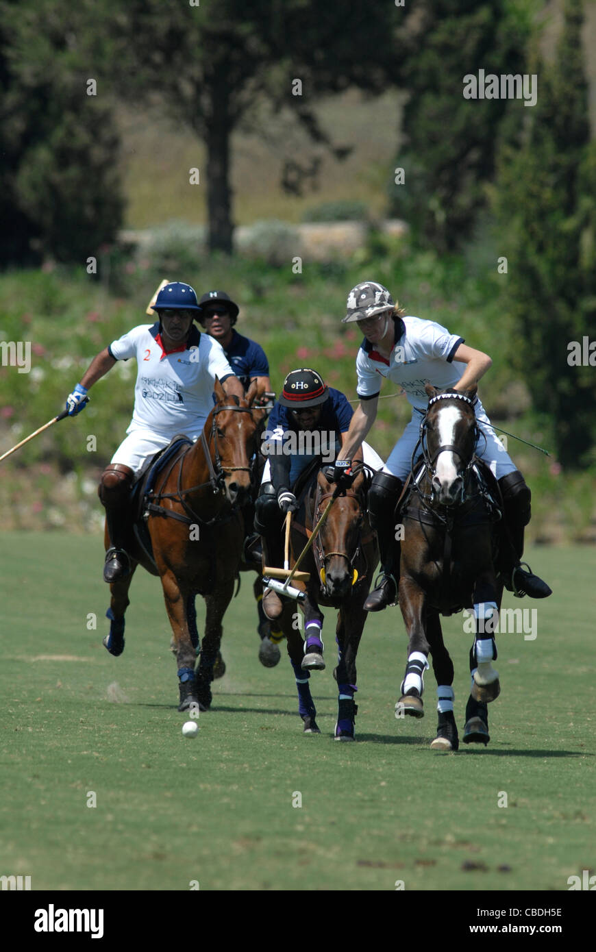 Polo players in action Stock Photo - Alamy