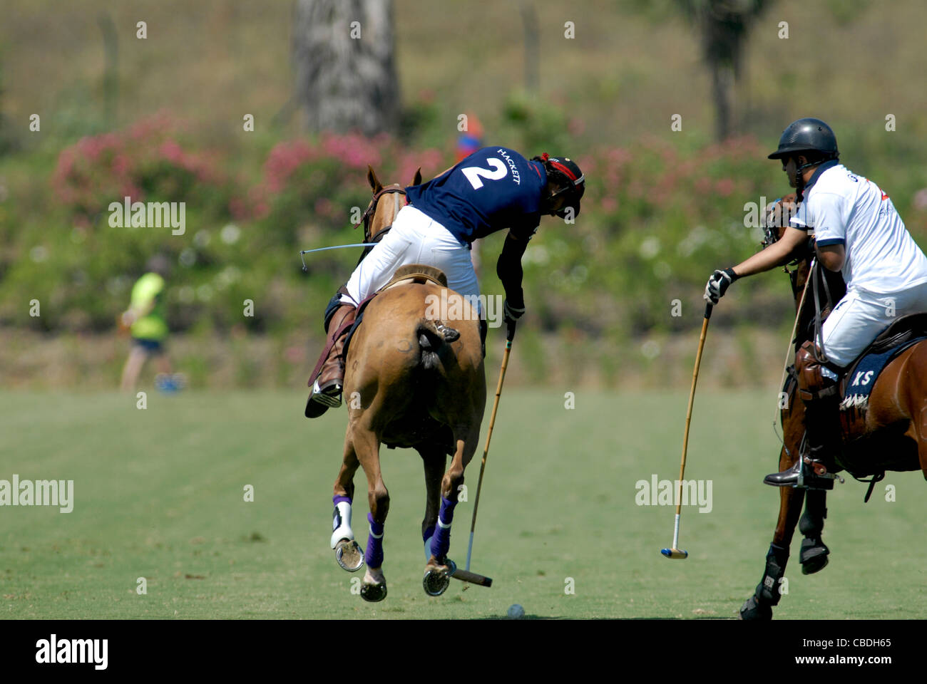2 polo players competing for ball during match Stock Photo - Alamy