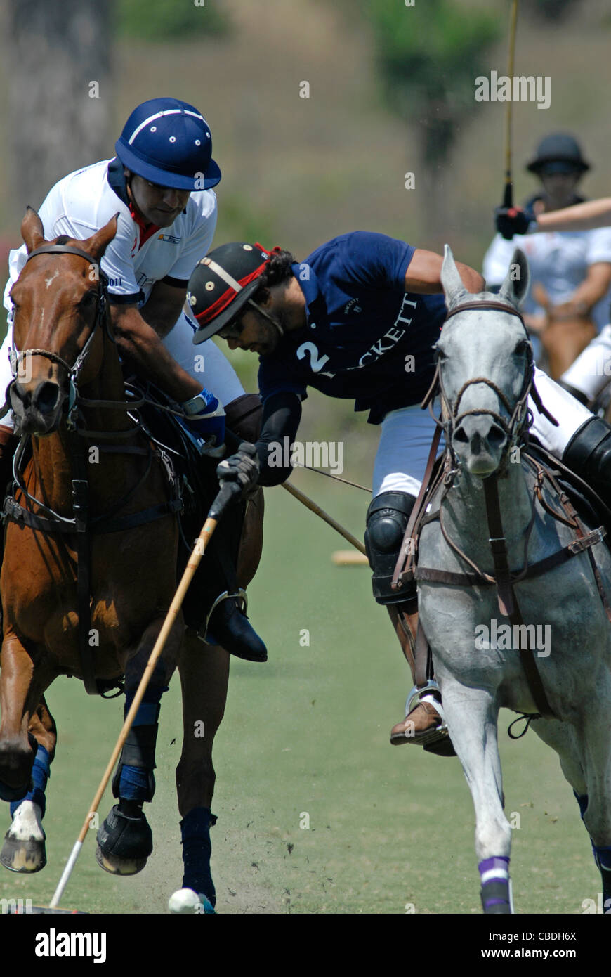 Polo players in close action competing for ball Stock Photo - Alamy