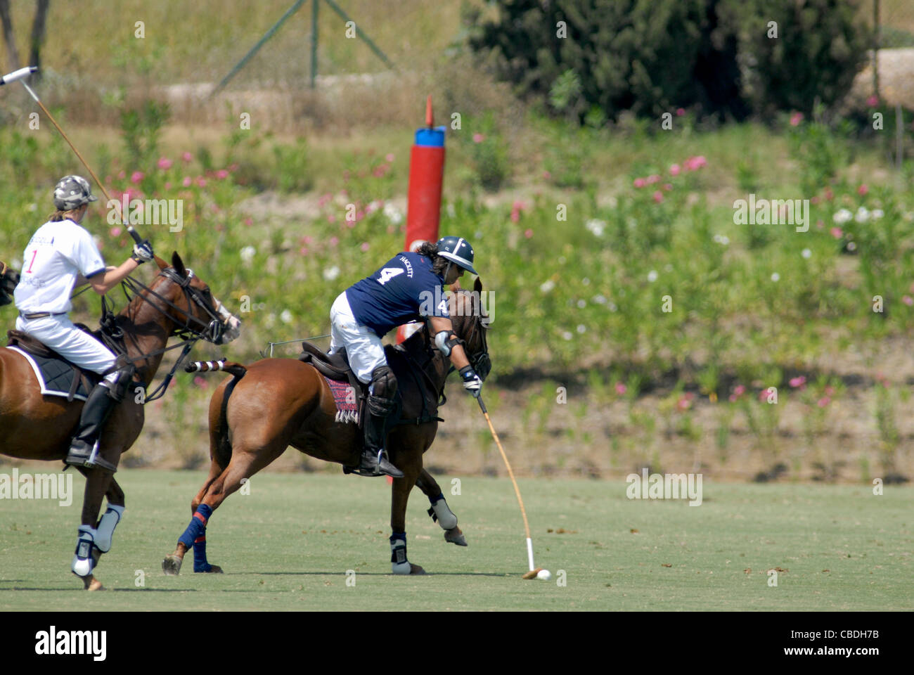 Polo player striking ball Stock Photo - Alamy