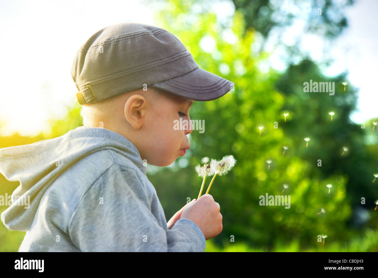 A young child blowing dandelion. Spring time Stock Photo - Alamy