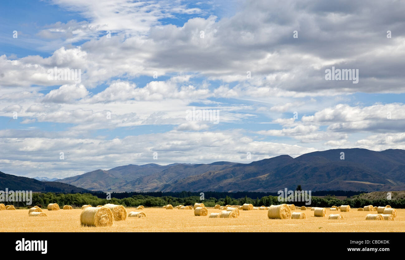 New zealand rural scene hi-res stock photography and images - Alamy