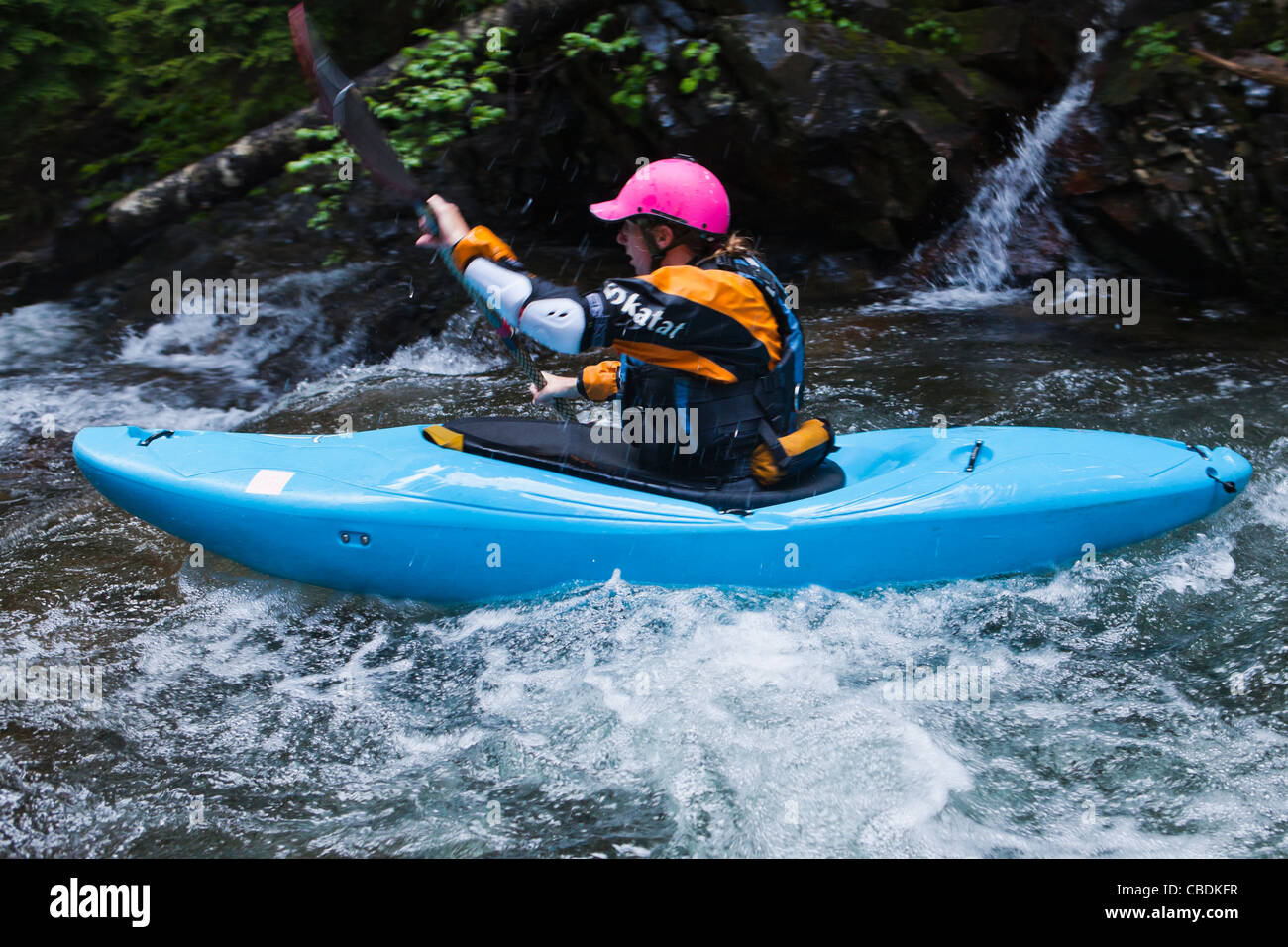 A female kayaker on the Snoqualmie river, Washington, USA. Fall in the ...