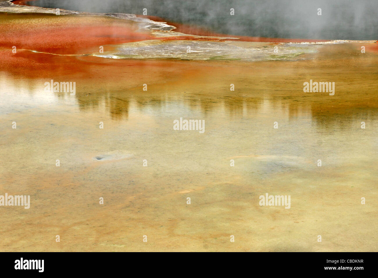 Rotorua hot springs hi-res stock photography and images - Alamy
