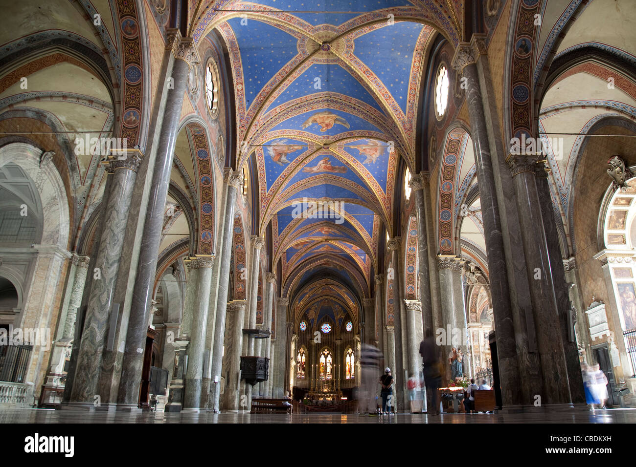 Nave of Chiesa di Santa Maria Sopra Minerva Church, Rome, Italy, Europe ...