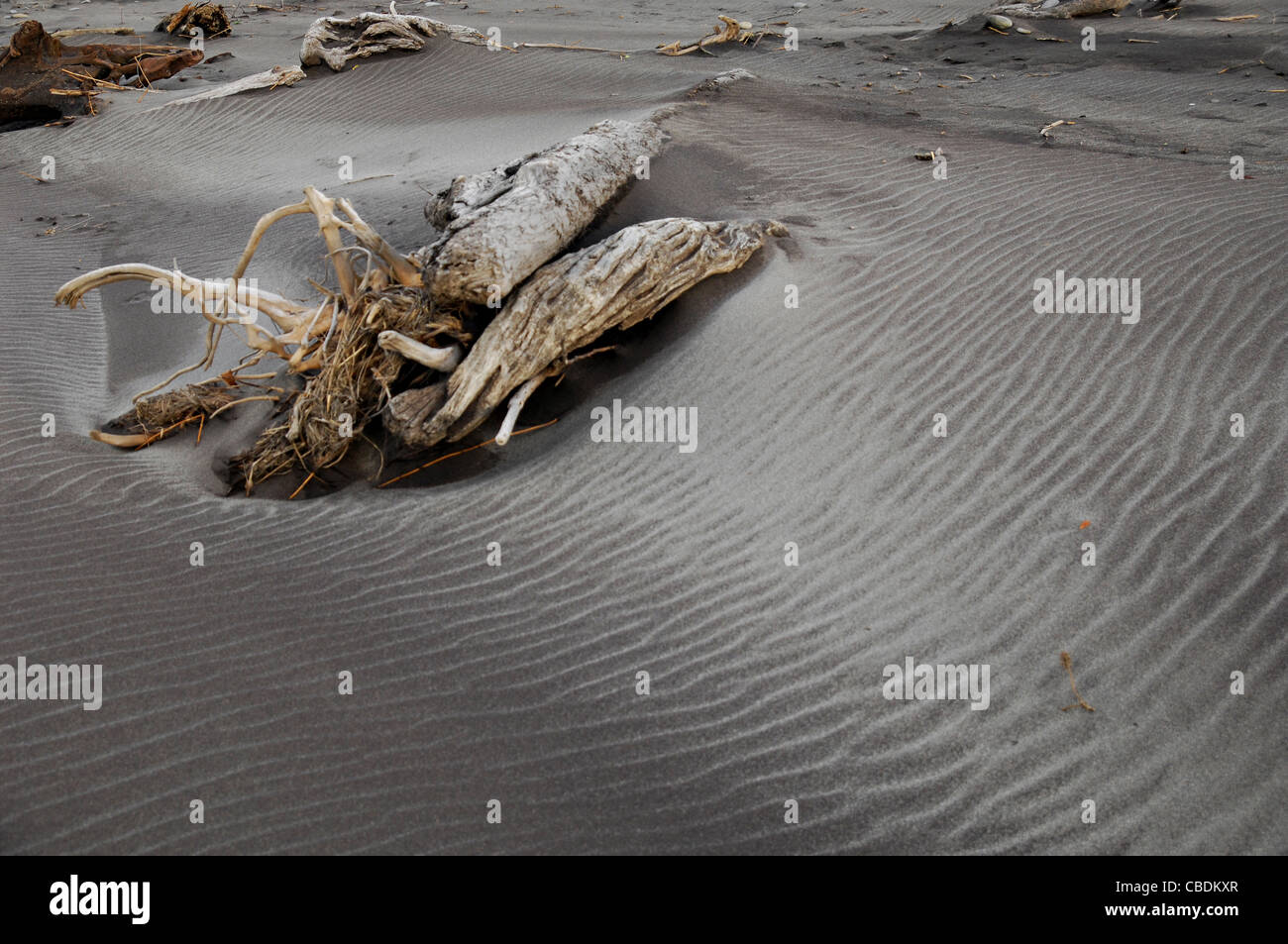 Windswept land hi-res stock photography and images - Alamy