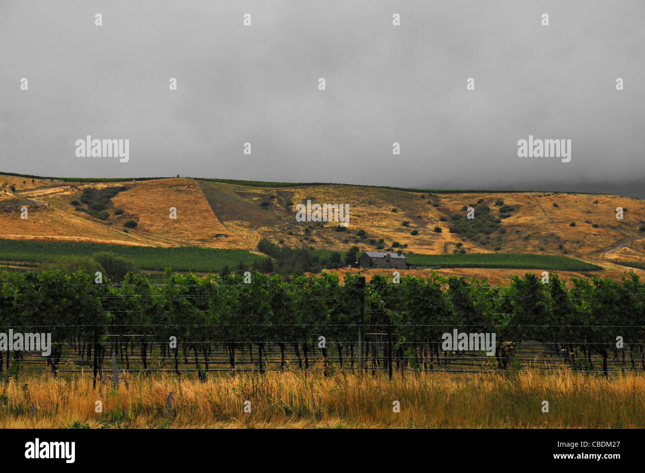 Kiwi country new zealand hi-res stock photography and images - Alamy