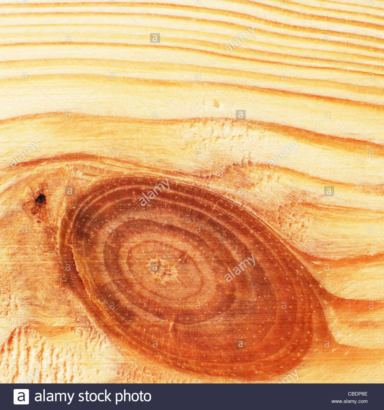 Knotty Pine Stock Photos & Knotty Pine Stock Images - Alamy