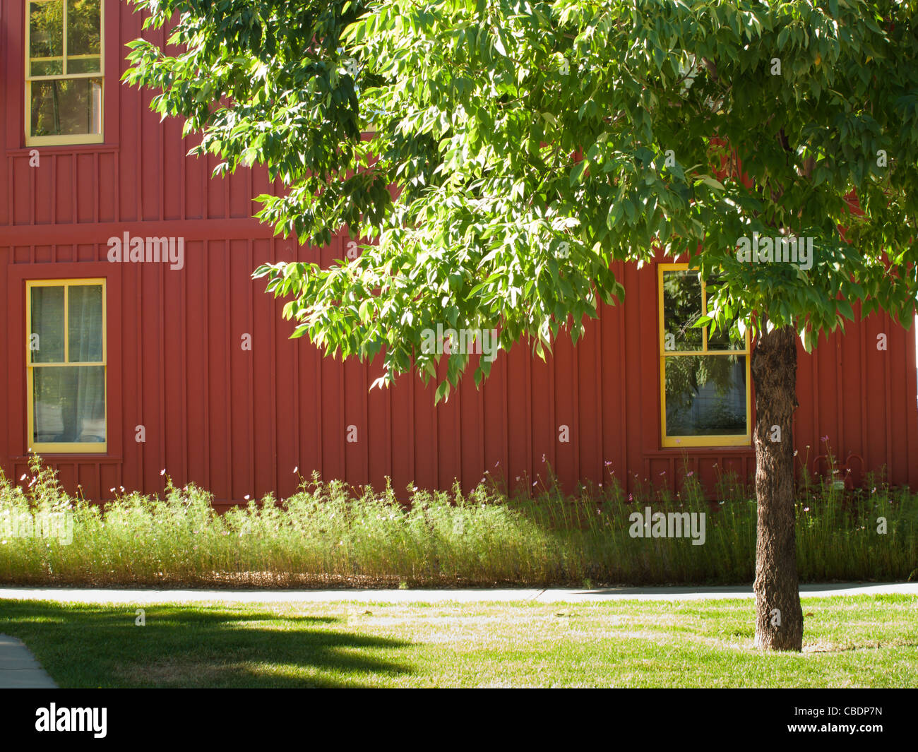 House in new urbanism development of Prospect project in Longmont ...