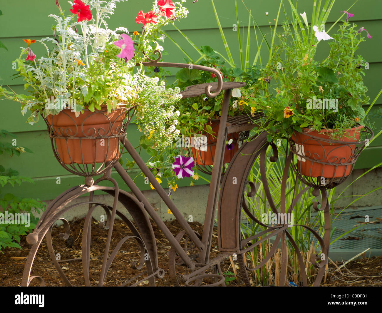 Decorative bicycle with flower pots Stock Photo - Alamy