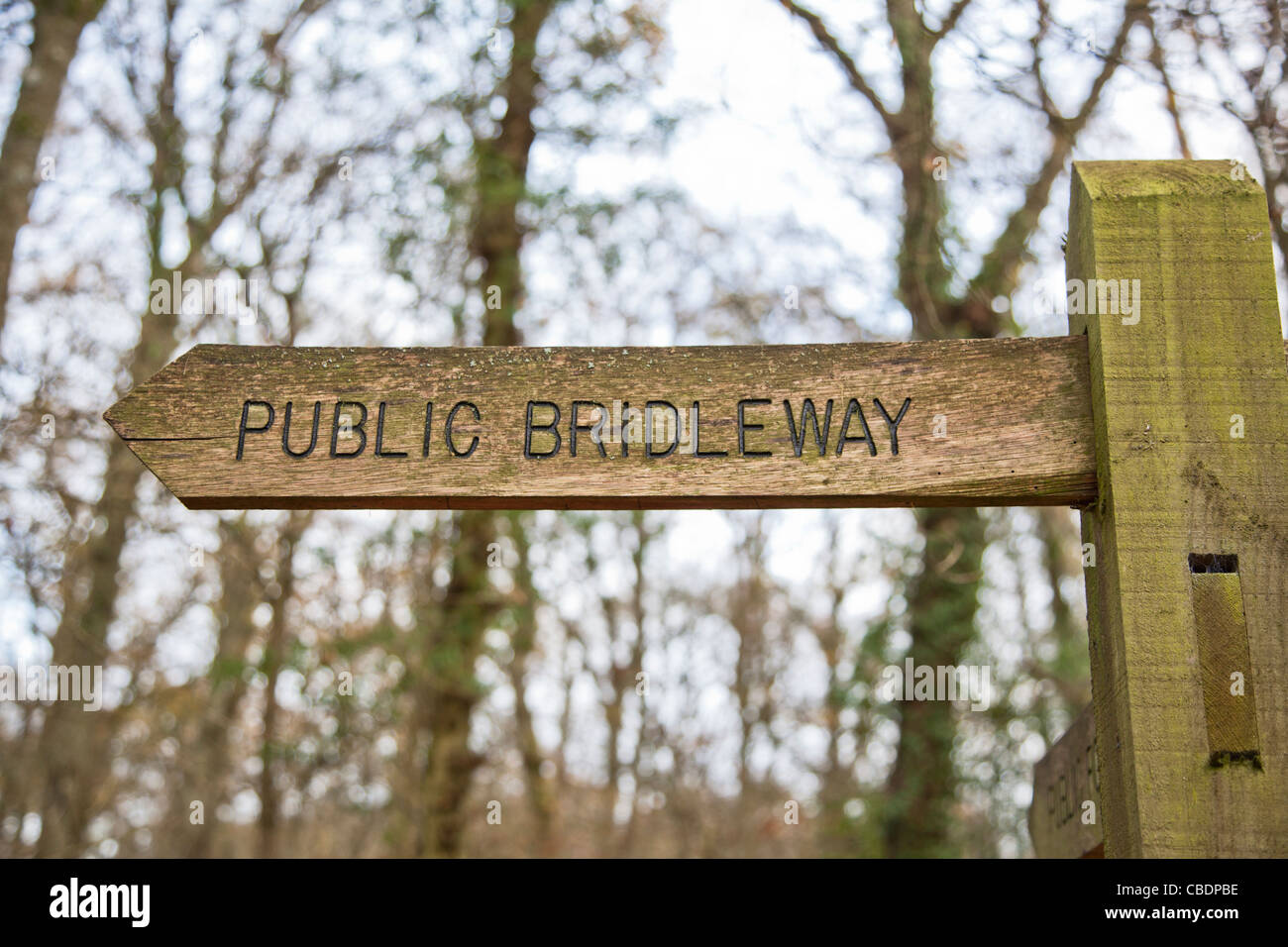 Traditional wooden finger post pointing left to public bridleway near ...