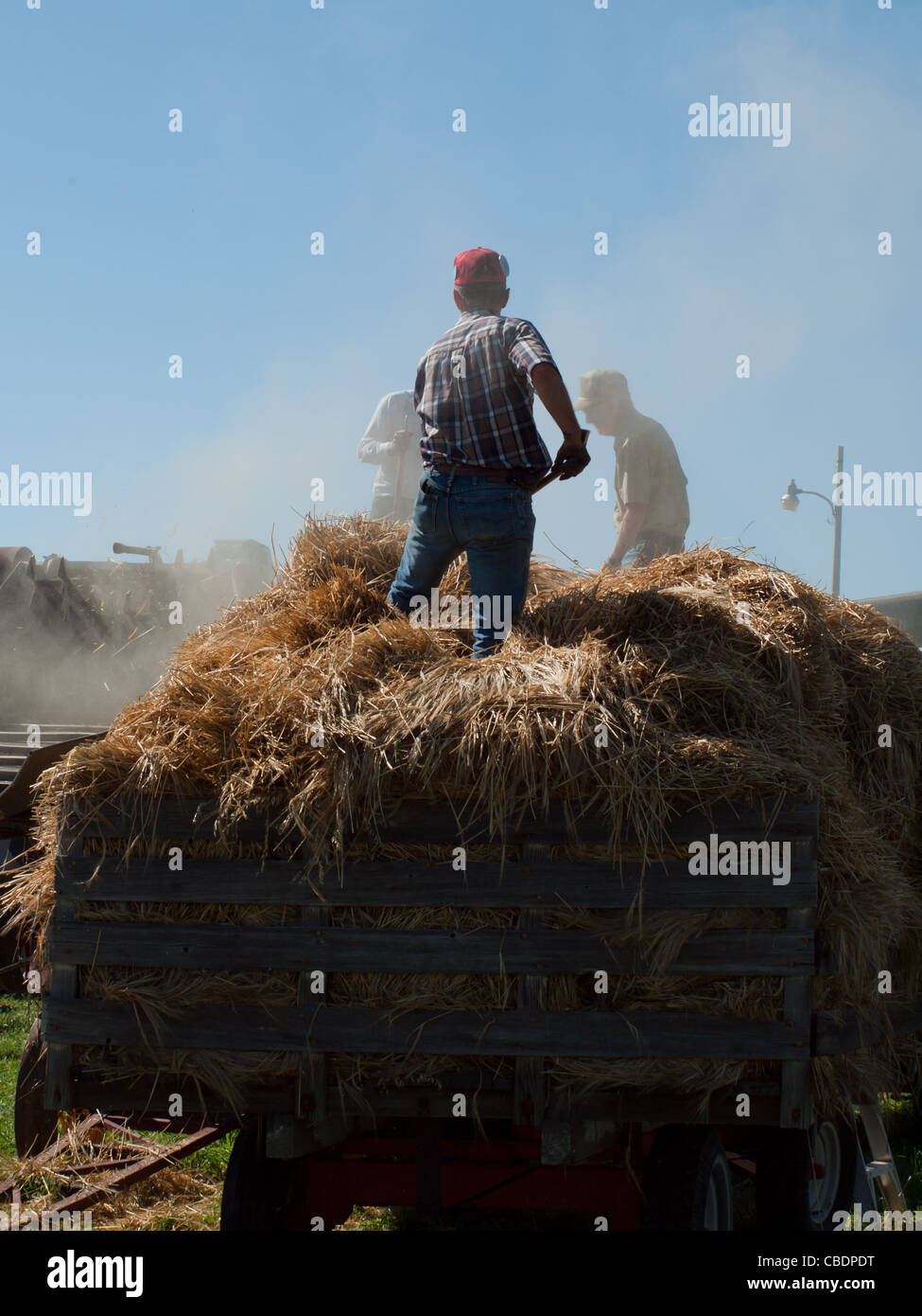 Men harvesting hay with old farm equipment Stock Photo - Alamy
