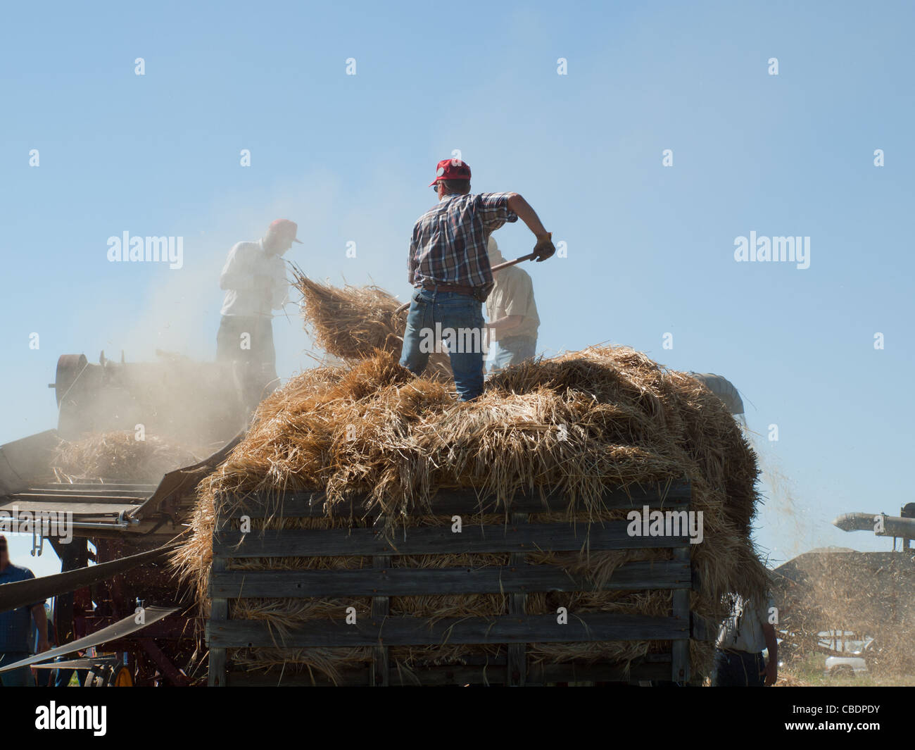 Men harvesting hay with old farm equipment Stock Photo - Alamy