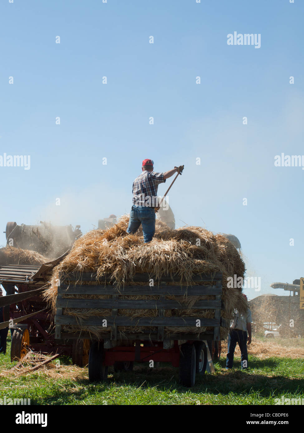 Men harvesting hay with old farm equipment Stock Photo - Alamy