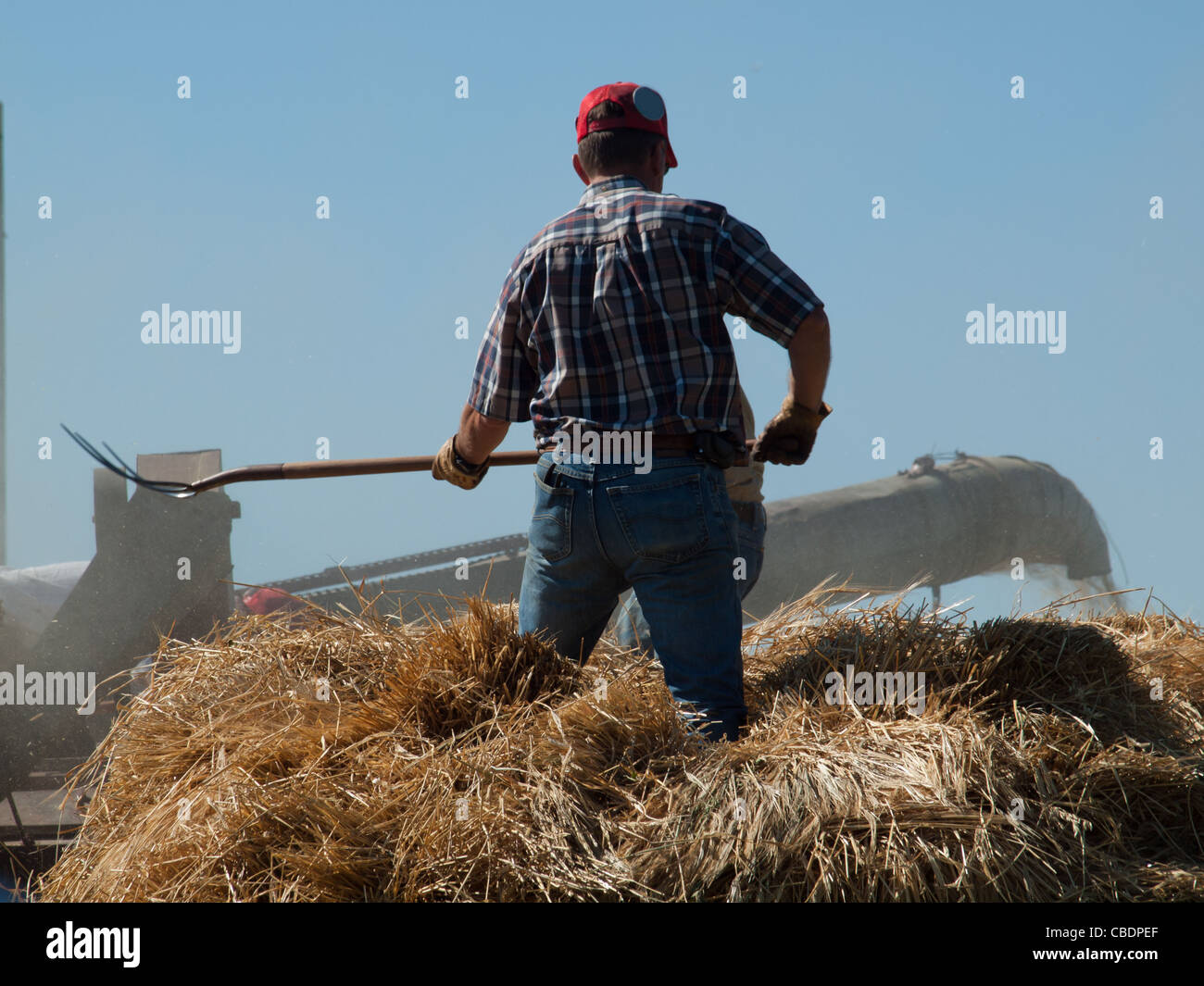 Men Harvesting Hay Old Farm High Resolution Stock Photography and ...