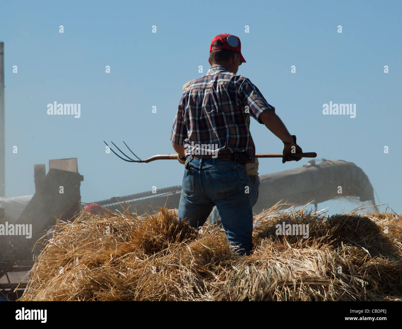 Men harvesting hay with old farm equipment Stock Photo - Alamy