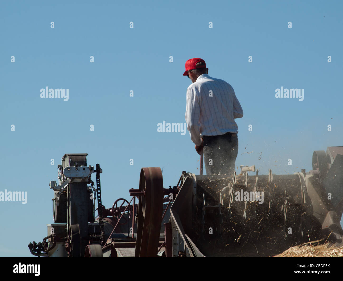 Men harvesting hay with old farm equipment Stock Photo - Alamy