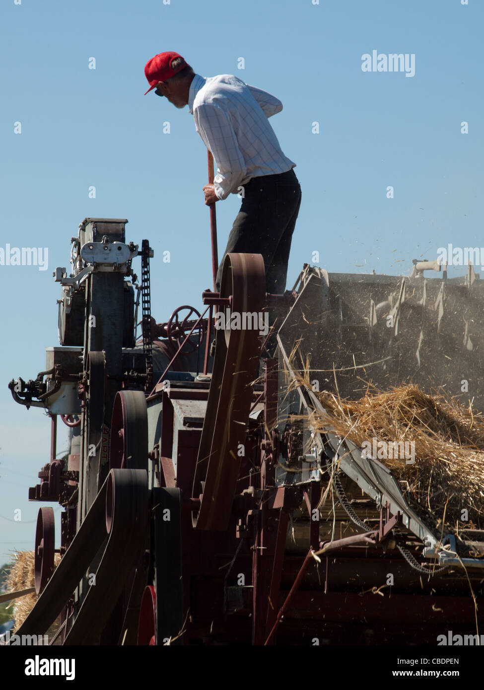 Men harvesting hay with old farm equipment Stock Photo - Alamy