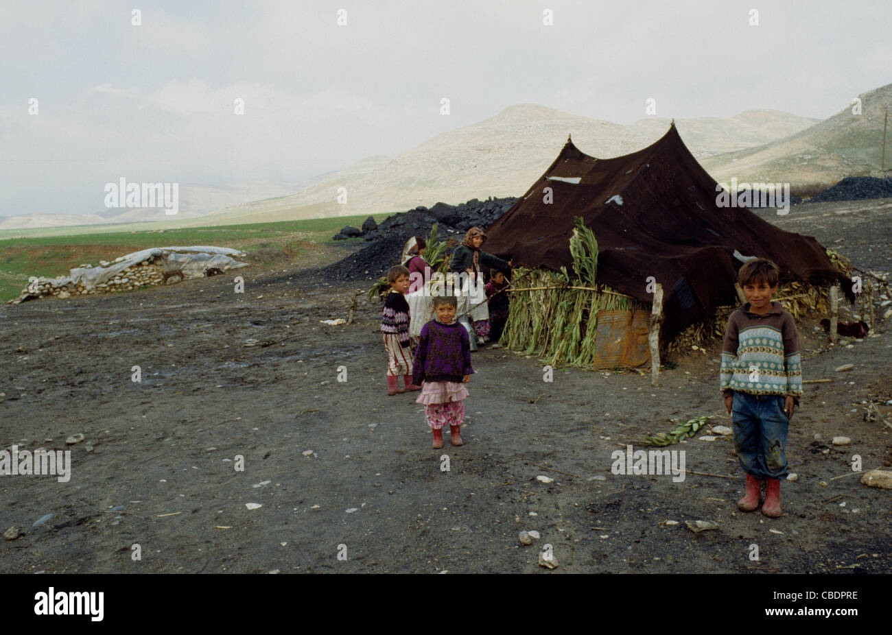 Nomadic Kurds with black hair tent near Silopi and the coal fields ...