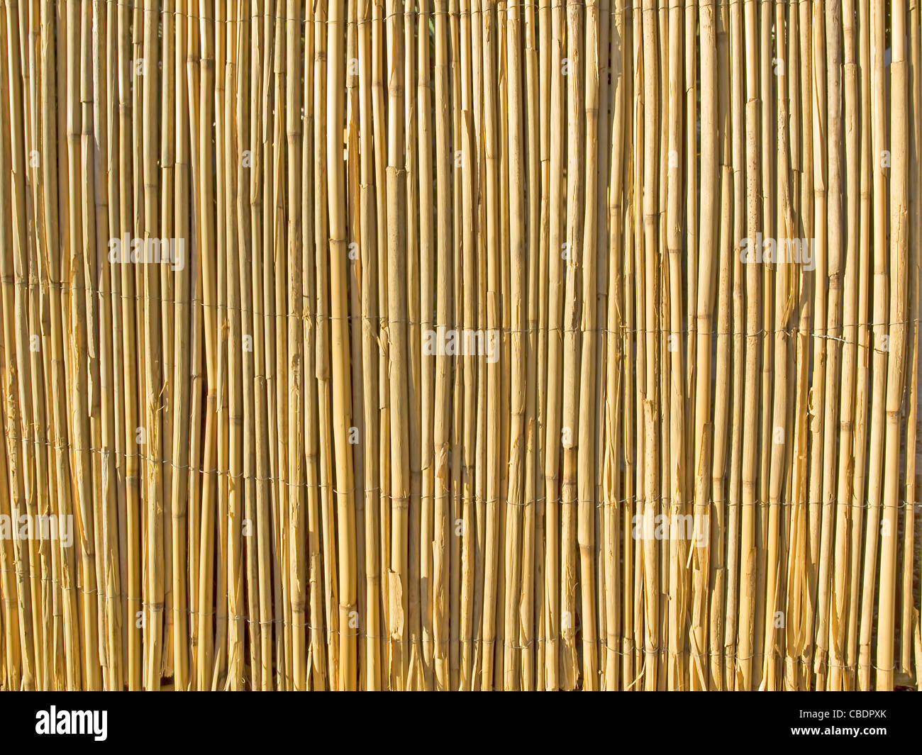 Bamboo cane background hi-res stock photography and images - Alamy