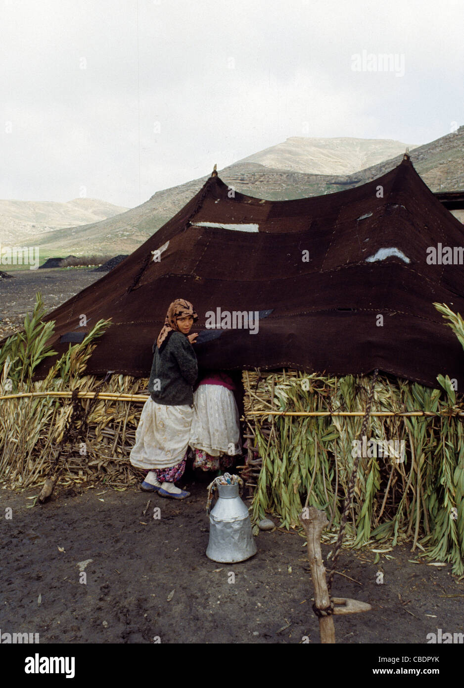 Nomadic Kurds with black hair tent near Silopi and the coal fields ...