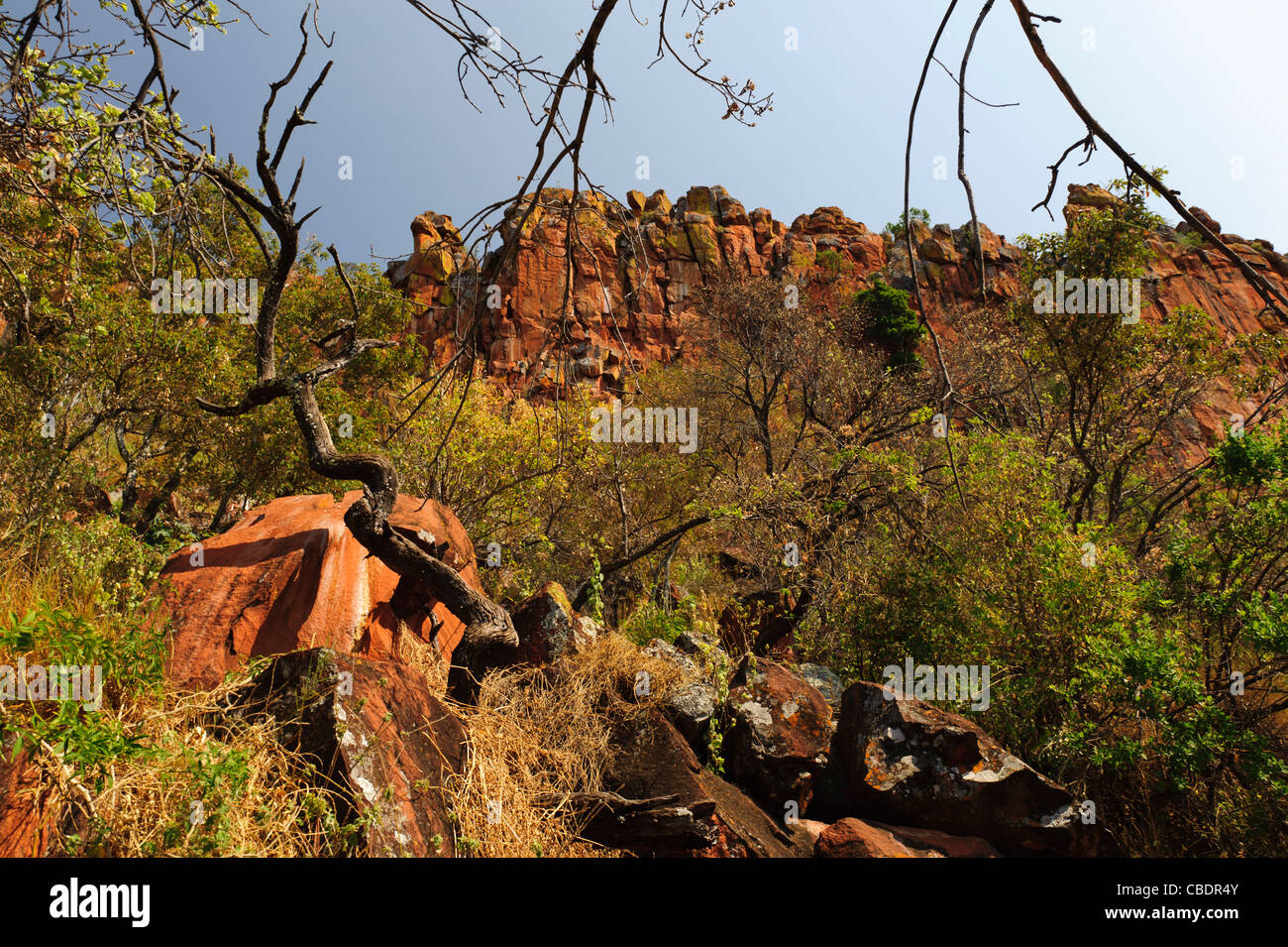 The steep cliffs of Waterberg Plateau Park, Namibia Stock Photo - Alamy