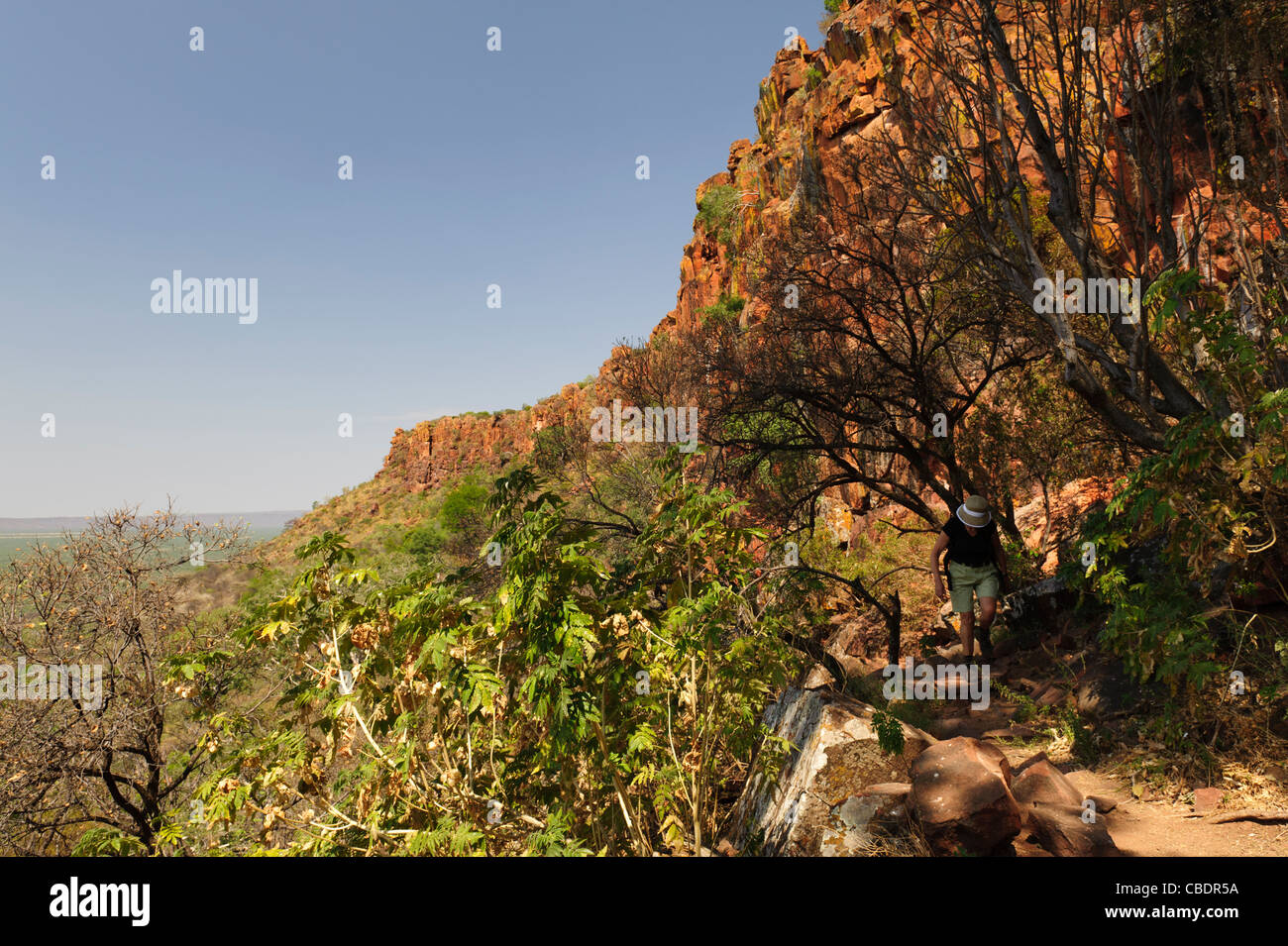 The steep cliffs of Waterberg Plateau Park, Namibia Stock Photo - Alamy