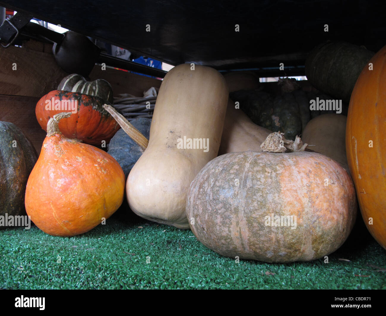 selection variety of pumpkins for sale on market stall stand Stock ...