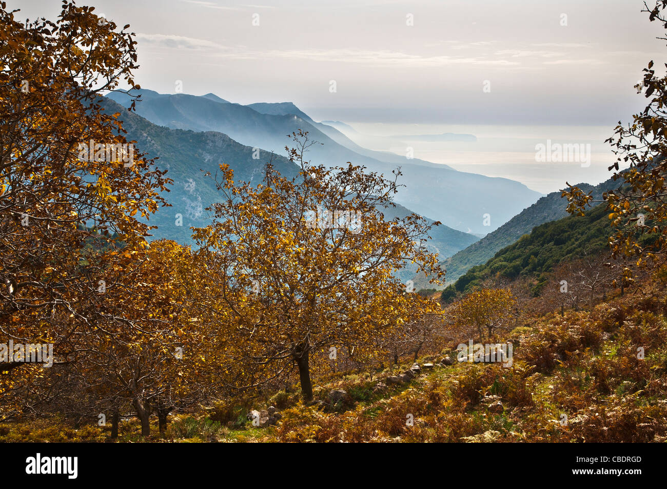Autumn in the Taygetos mountains looking south to the Deep Mani from ...