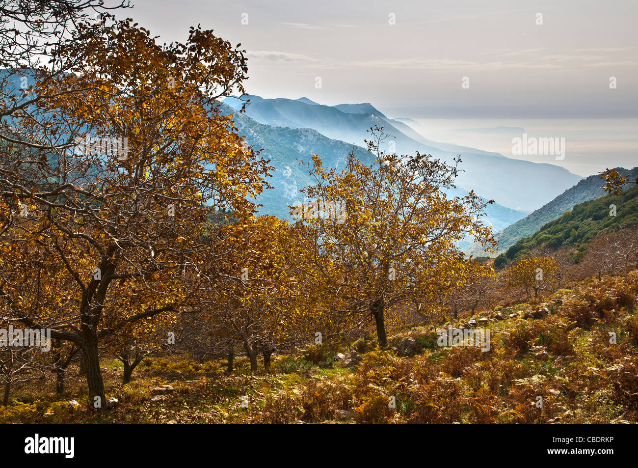 Autumn in the Taygetos mountains looking south to the Deep Mani from ...